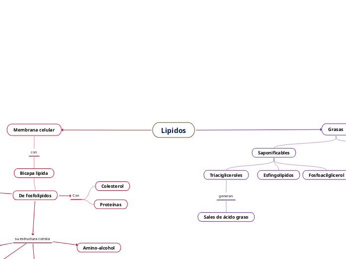 Lipidos - Mind Map